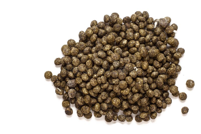 Rabbit facts; Real life notes – DEC-XZ