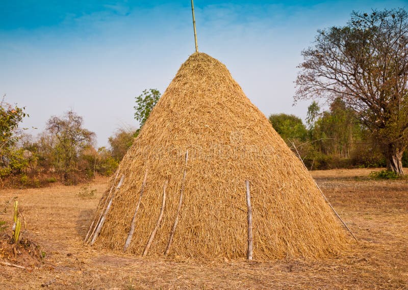 Big Pile of Straw stock image. Image of bedding, crop - 18688749