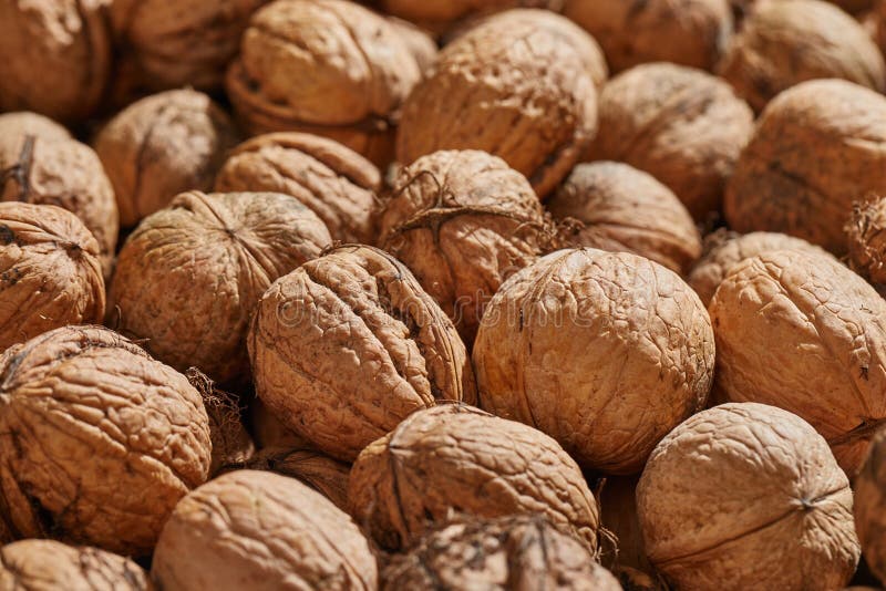 Walnut Pic Stock Photos - Free & Royalty-Free Stock Photos from Dreamstime