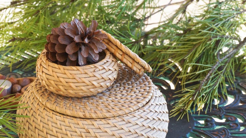 Two Natural Color Baskets Green Pine Tree Branches on Background Stock ...