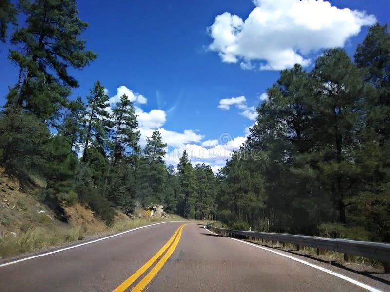 Prescott stock photo. Image of trees, pine, prescott - 138168600