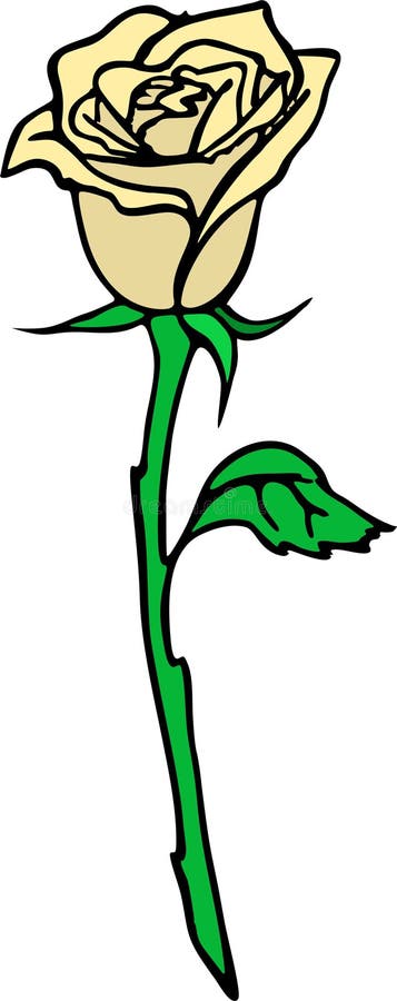 Big Pink Rose Flower with Leaves No Background Stock Image ...