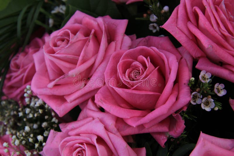 Big Pink Roses in a Bridal Bouquet Stock Photo - Image of decoration ...