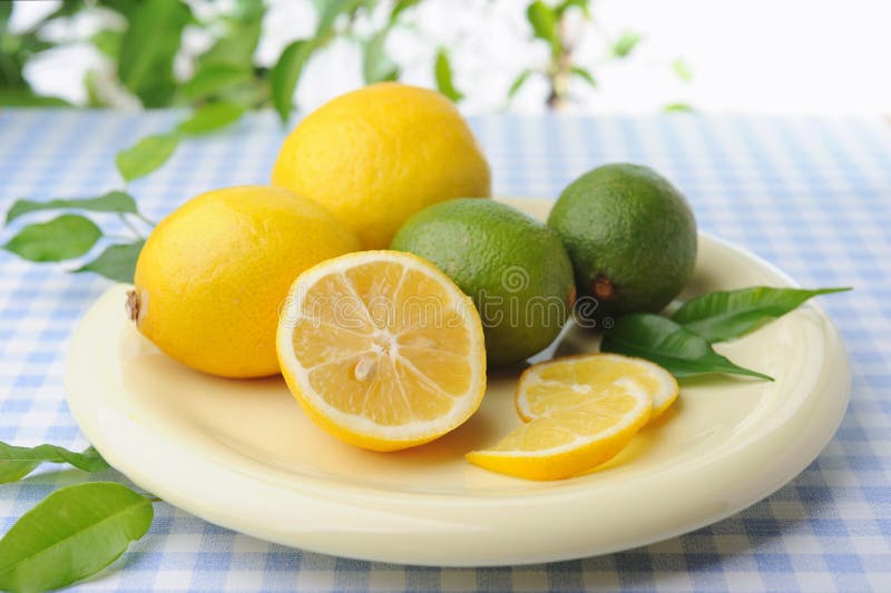 Big Plate with Fresh Lime and Lemon Being Make Lemonade Stock Photo ...