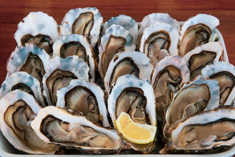 A Big Plateau of Raw Oysters Neatly Placed in a Rectangular Dish Stock ...