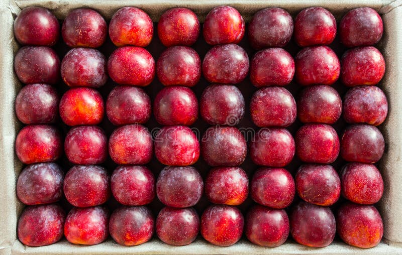 Big Plums Displayed for Sale Stock Image - Image of ingredient, meal ...