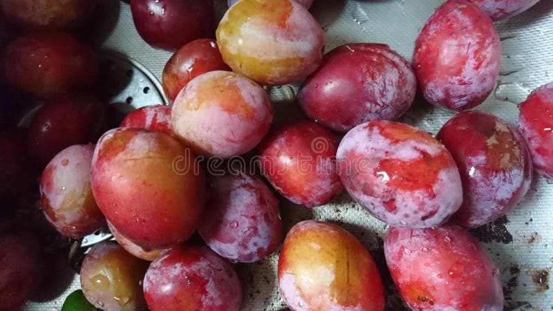 Big plums stock photo. Image of nature, fruit, abstract - 102176166