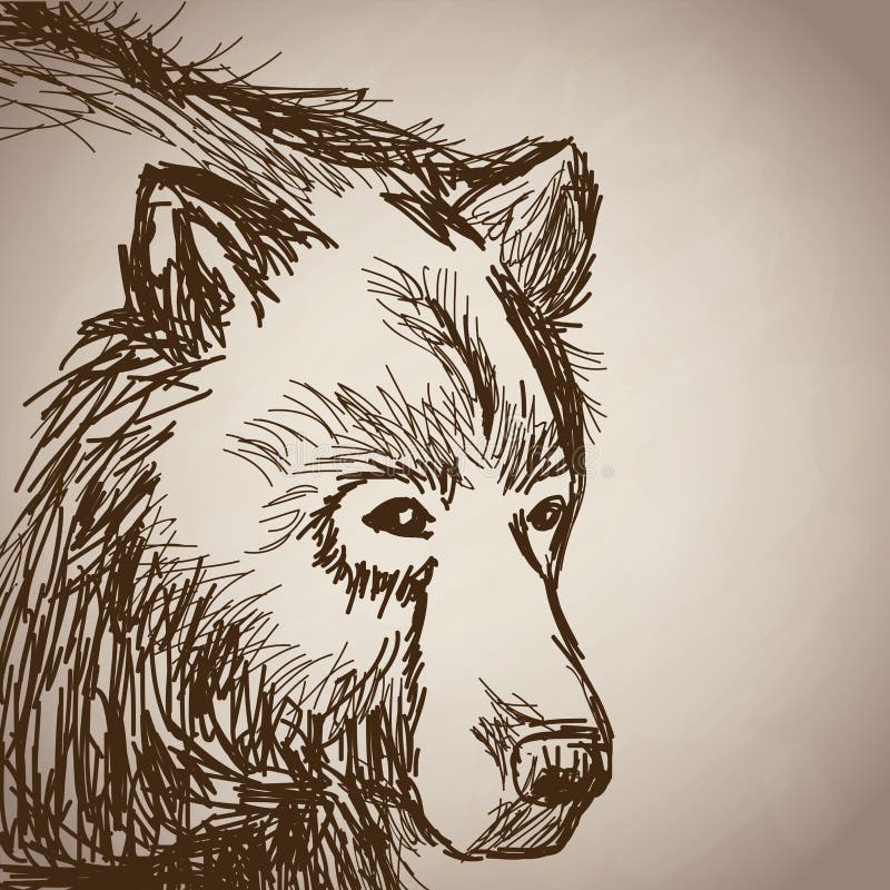 Big Portrait Forest Hand Drawing Vintage Stock Vector - Illustration of ...