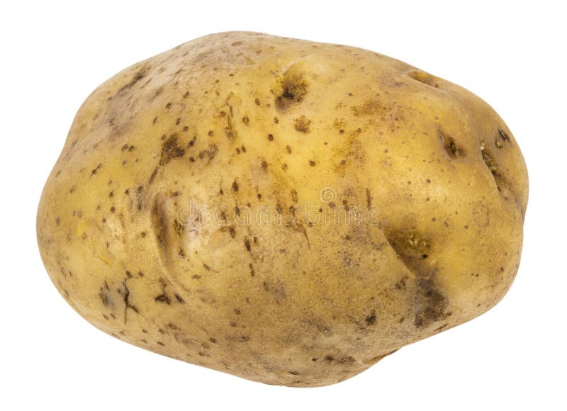 Stephen Harper editorial stock photo. Image of visit - 55073743