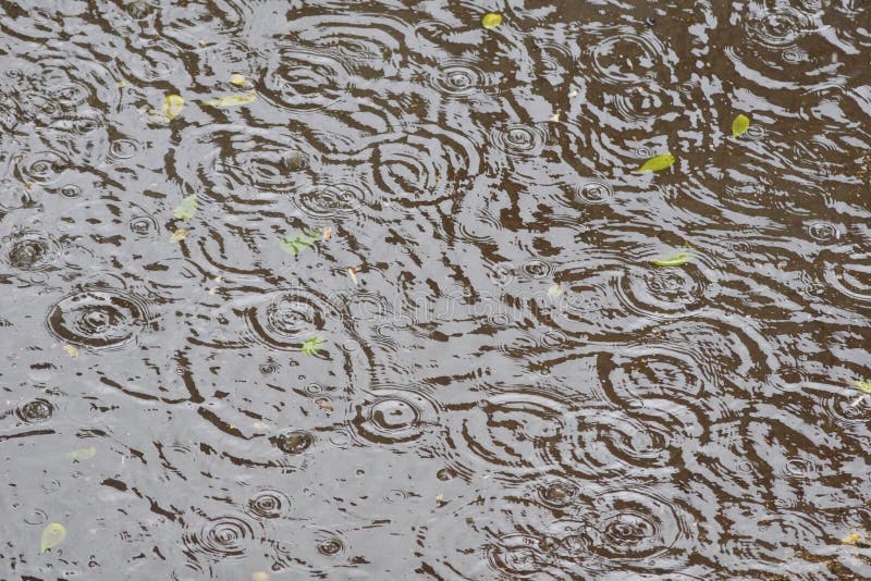 Big puddle. stock photo. Image of pool, drizzle, yellow - 6630860