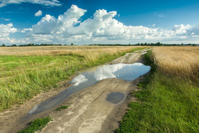 Big Puddle on a Dirt Road through Fields Stock Image - Image of cereal ...