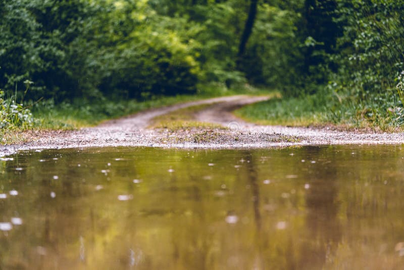 A Big Puddle on the Forest Path. Stock Photo - Image of dirty ...