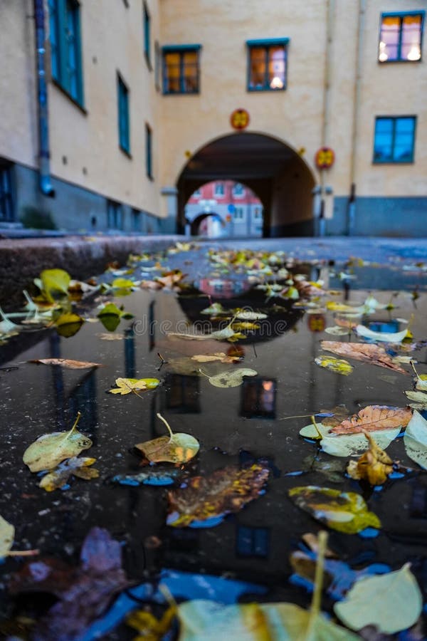 Big Puddle in Front of Building during Autumn Stock Photo - Image of ...