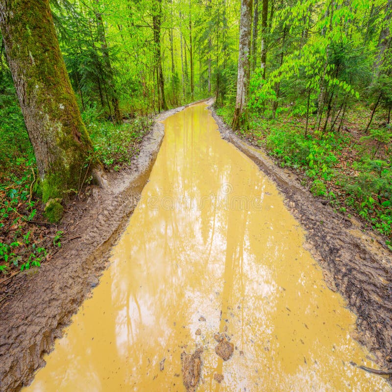 Deep puddle on a road stock photo. Image of dirty, pool - 26084560
