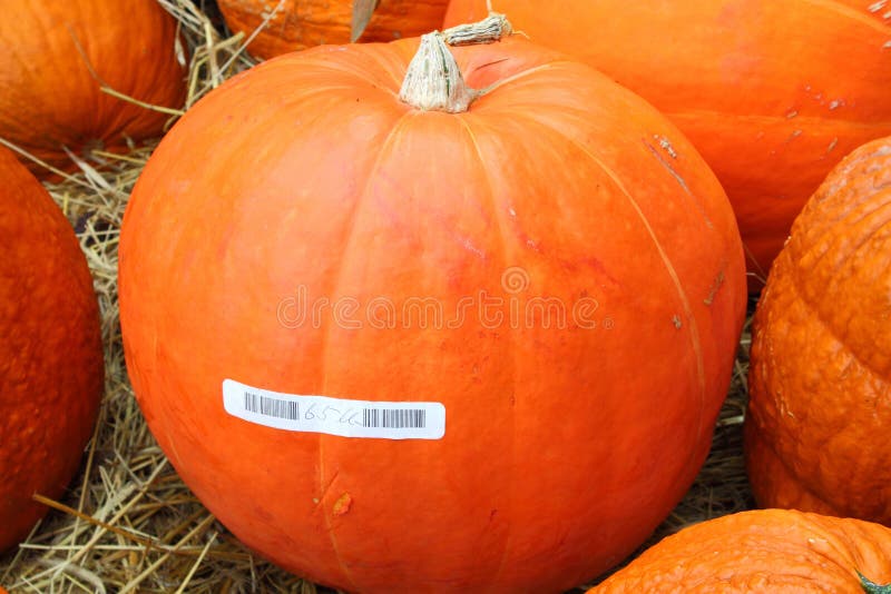 Ghost Barcode Stock Photos - Free & Royalty-Free Stock Photos from ...