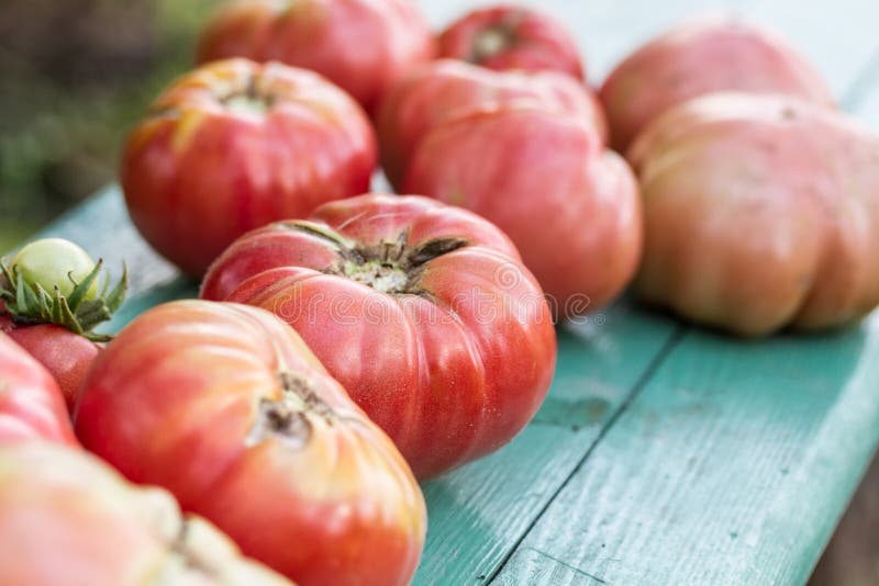 Red raspberry tomatoes. stock image. Image of life, interior - 77123765