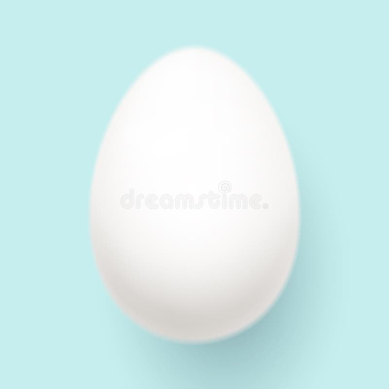 Big Realistic White Chicken Egg with Shadow on White Background ...