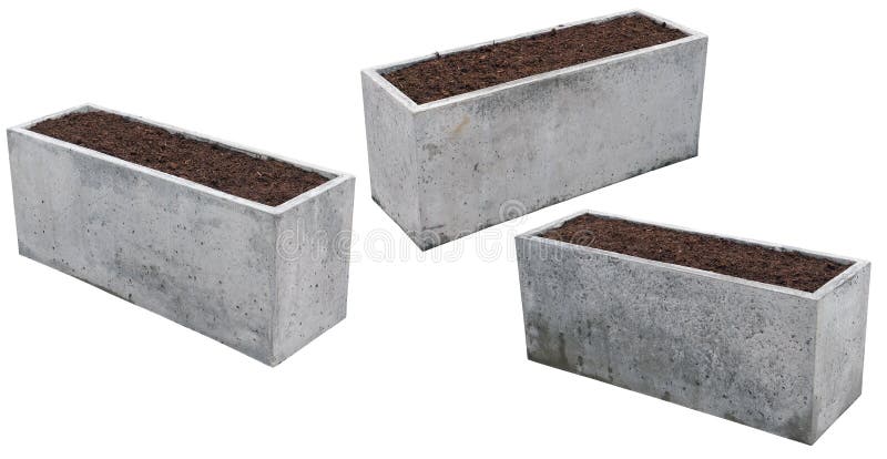 A Rectangular Concrete Flower Pot with a Yellow Plant Stock Image ...