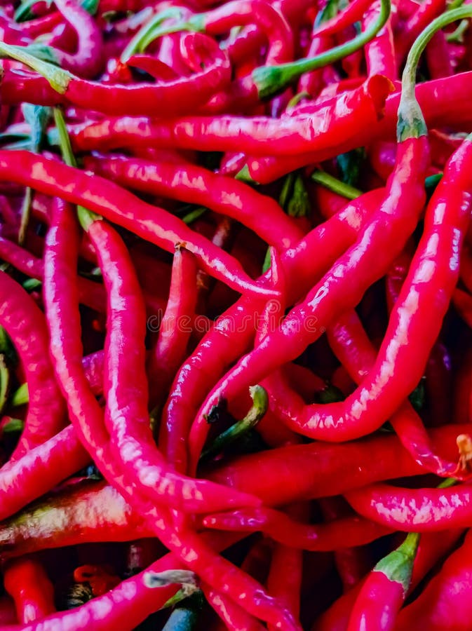 Big red chili stock photo. Image of salad, flower, tomato - 220421320