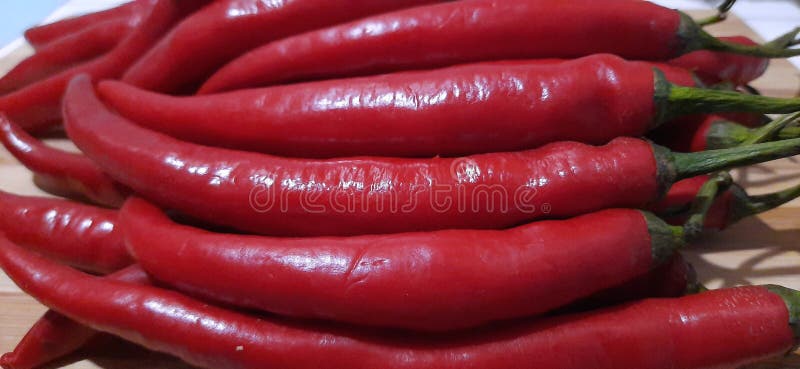 Big Red Chilli or Capsicum Annum Stock Image - Image of chilli, annum ...