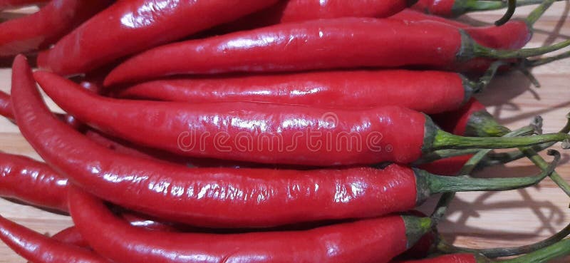 Big Red Chilli or Capsicum Annum Stock Photo - Image of annum, pink ...