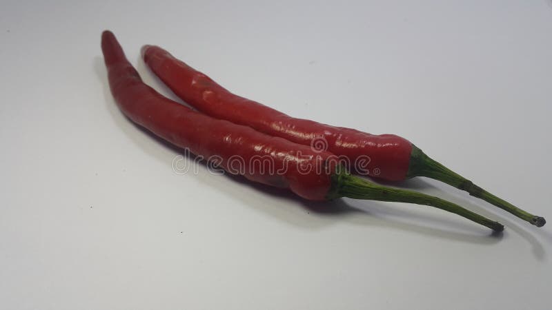 This is a Big Red Chili that is Still Fresh Stock Photo - Image of ...