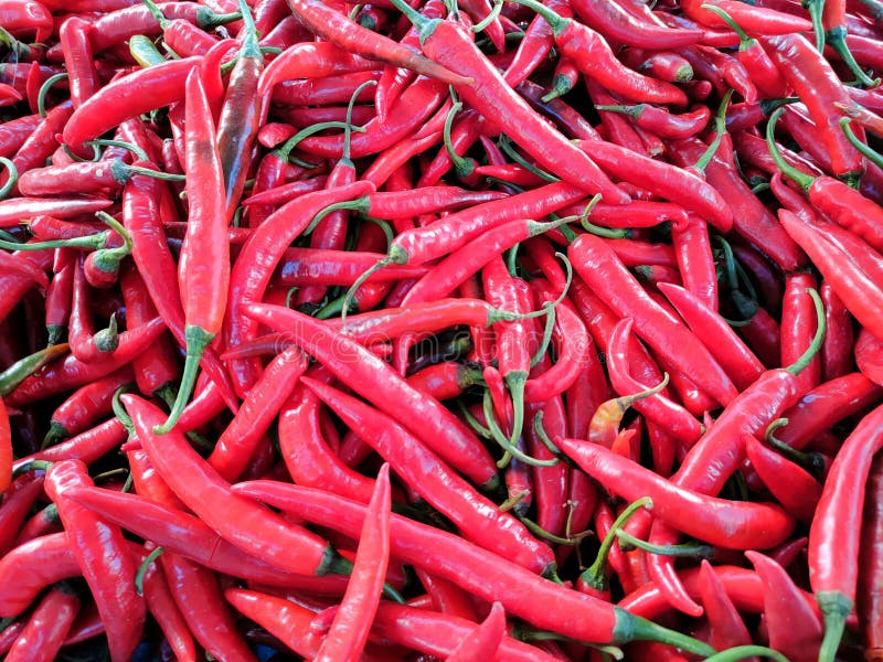 Big Red Chilli As a Food Flavor Stock Image - Image of flavor, chilli ...