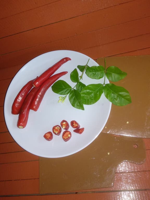 Big red chilli stock photo. Image of closeup, chilli - 179282708