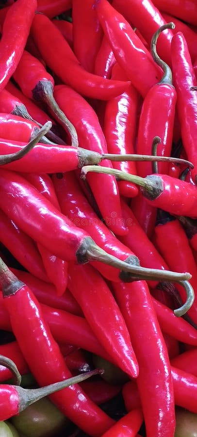 Big red chilli stock image. Image of orange, meat, dish - 271387761