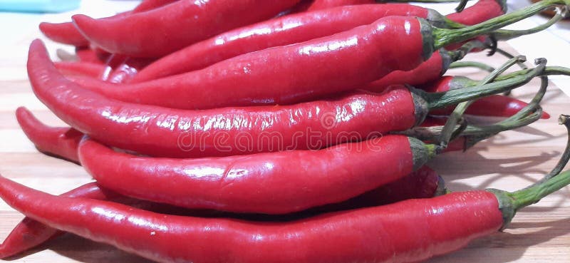 Big Red Chilli or Capsicum Annum Stock Image - Image of organ ...