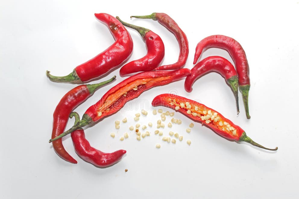 Big red chilli stock photo. Image of meat, chilli, food - 239672414