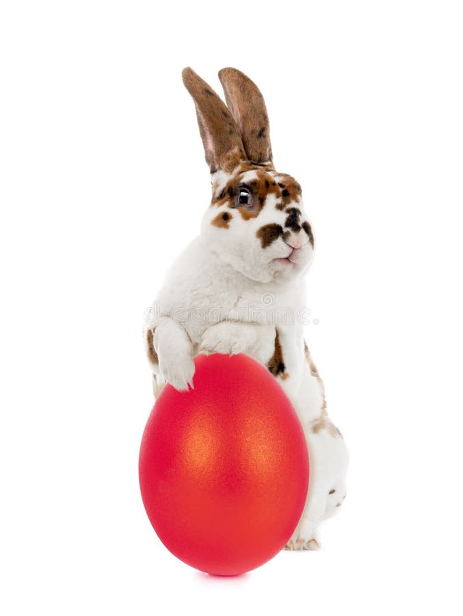 Big Red Egg that Bunny Hides for Easter Stock Image - Image of rabbit ...