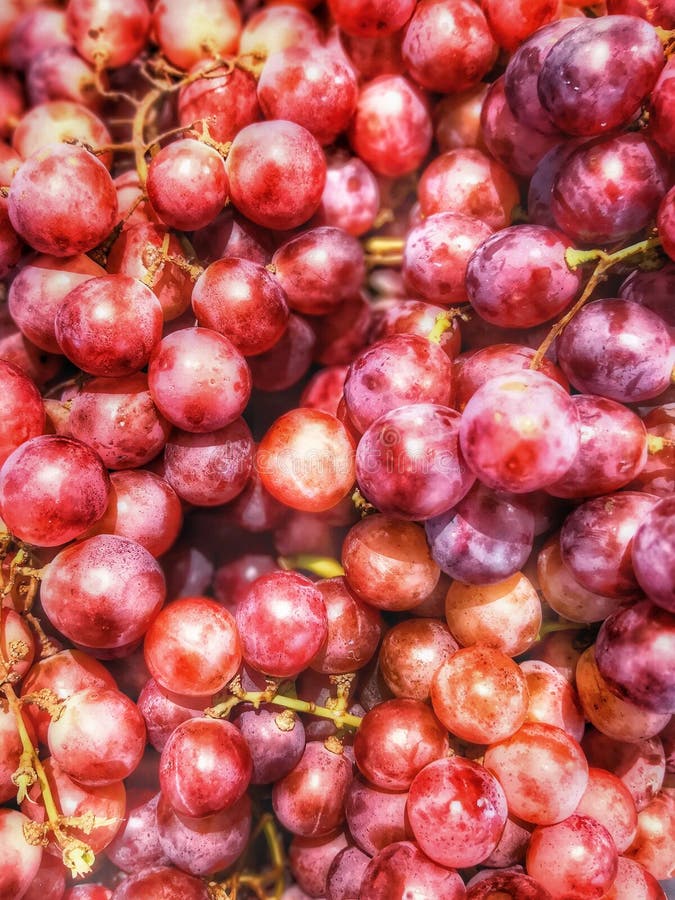Big red grapes stock image. Image of composition, full - 125100647