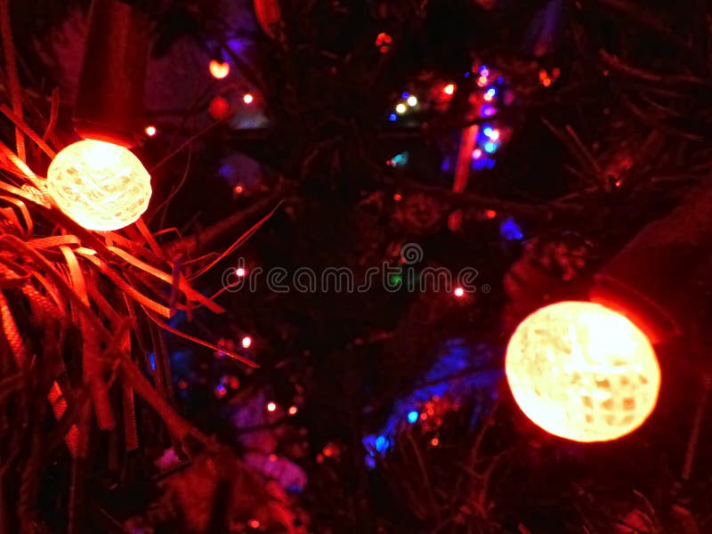 Red lights in the tree stock photo. Image of driving - 211376714
