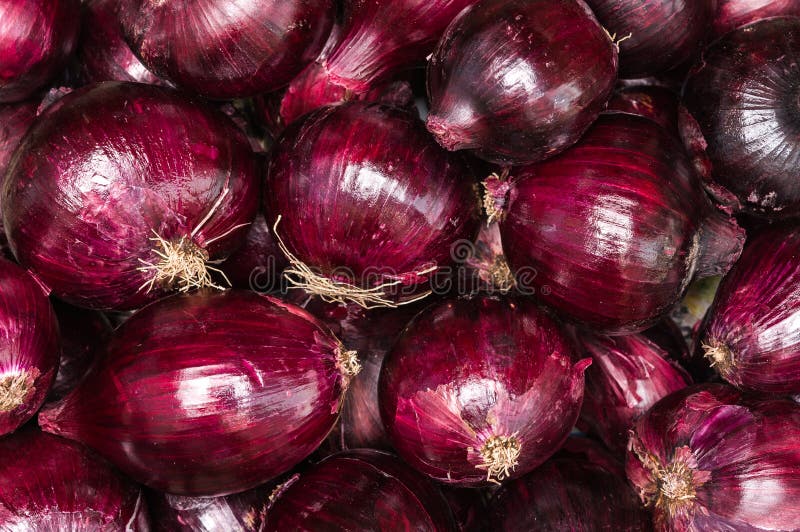 Big Red Onions Background stock photo. Image of culinary - 123799284