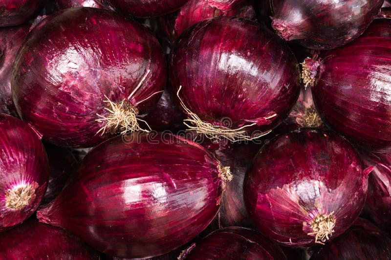 Big Red Onions Background stock photo. Image of local - 123799302