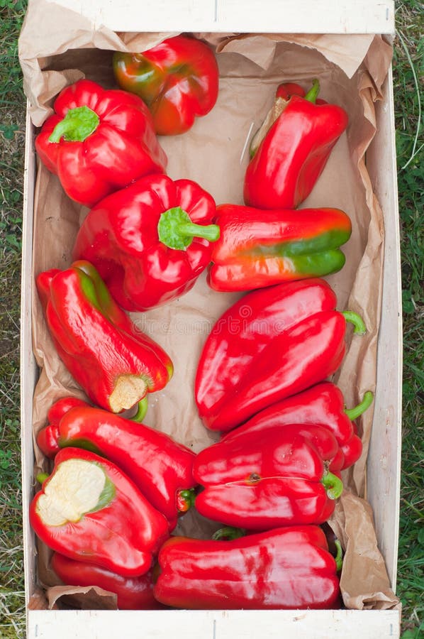 Big red peppers in a box stock photo. Image of natural - 35004458