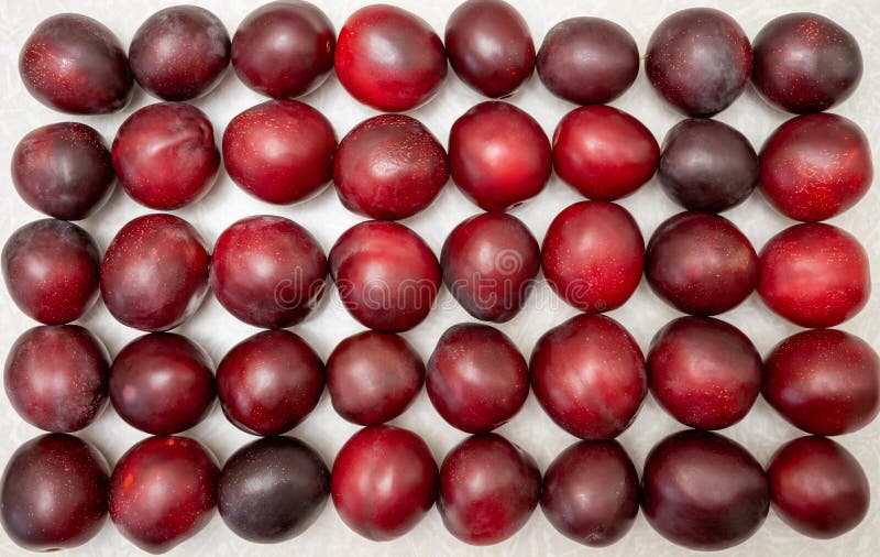 Big Red Plums Stacked in Rows on a White Surface Stock Photo - Image of ...