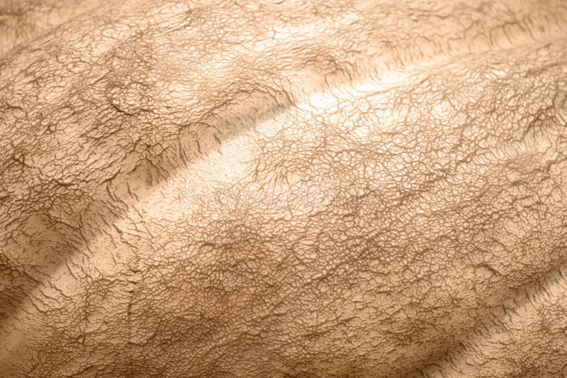 Big Red Pumpkin Background, Copy Space, Orange Giant Pumpkin Textur ...