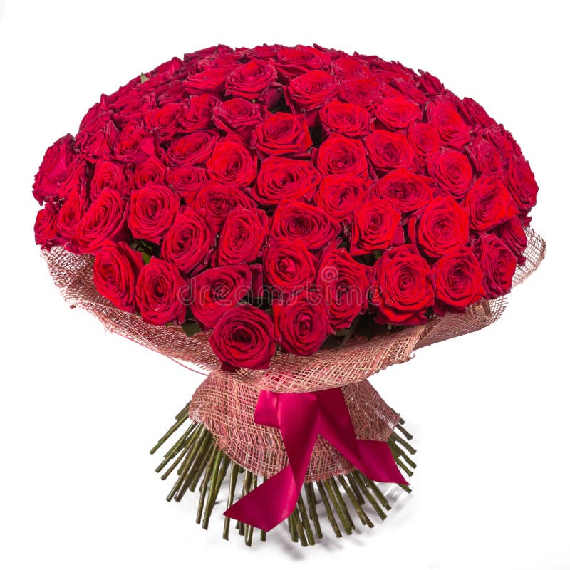 Big Red Roses Bunch Isolated on White Background Stock Image - Image of ...