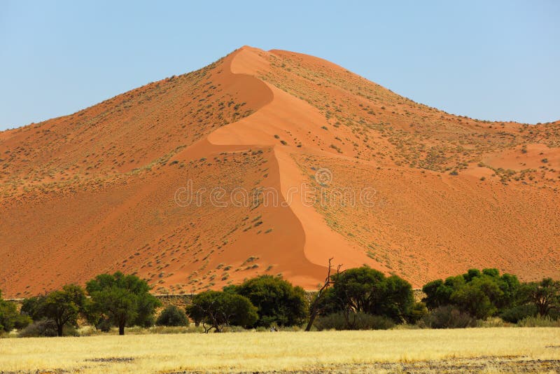 Big red sand dune stock image. Image of color, grass - 42985747