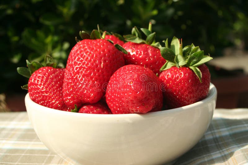Big red strawberries stock image. Image of green, tasty - 3154295