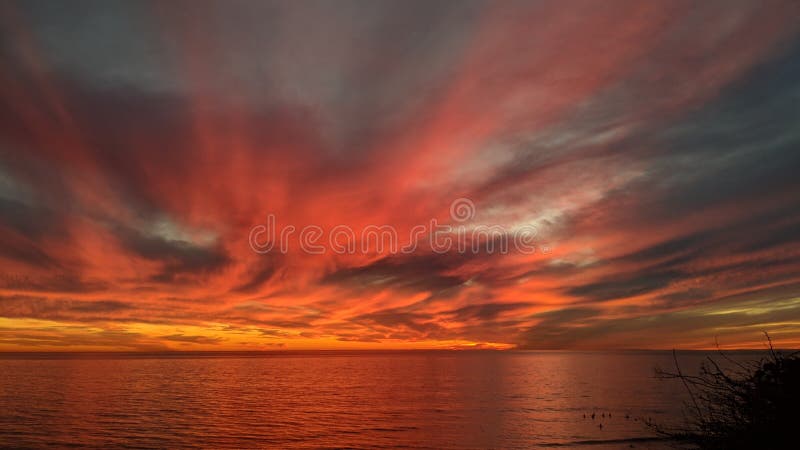 Big Red California Sunset stock photo. Image of encinitas - 275022252