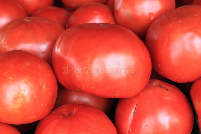 Big Red Tomatoes stock image. Image of garden, closeup - 26005749