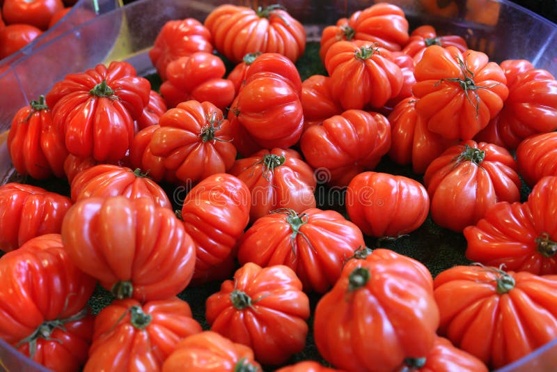 Big Red Tomatoes at the Market Stock Photo - Image of nutrition ...