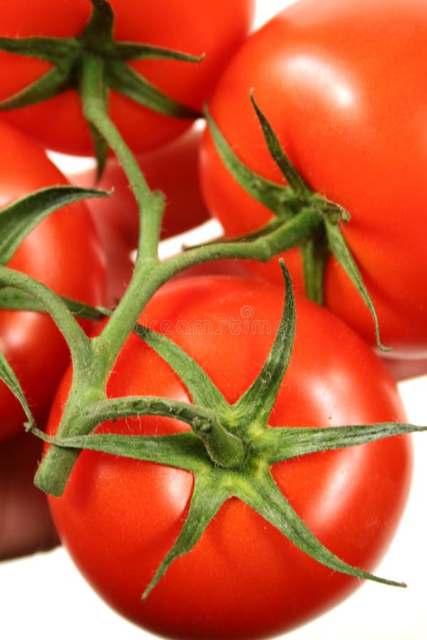 Big Red Vine Ripened Tomato Stock Image - Image of nourishing, fresh ...