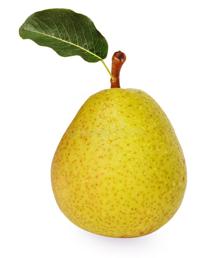 Big Ripe Pear with Green Leaf Stock Photo - Image of dessert, leaves ...