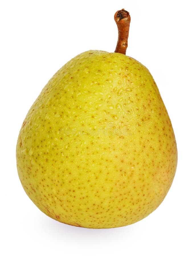 Big ripe pear stock image. Image of green, delicious - 47137369