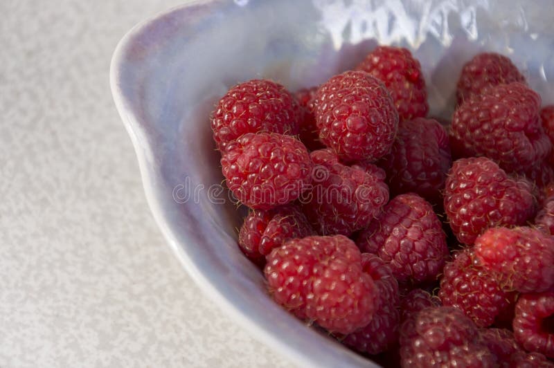 Big Ripe Raspberries are Laying on the Table Covered with White ...