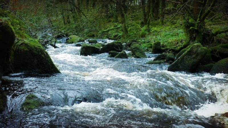Fresh Cold Mountain River with Sound of Nature Stock Footage - Video of ...